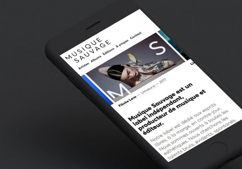 Identité visuelle et site web pour musique sauvage, label et producteur ...