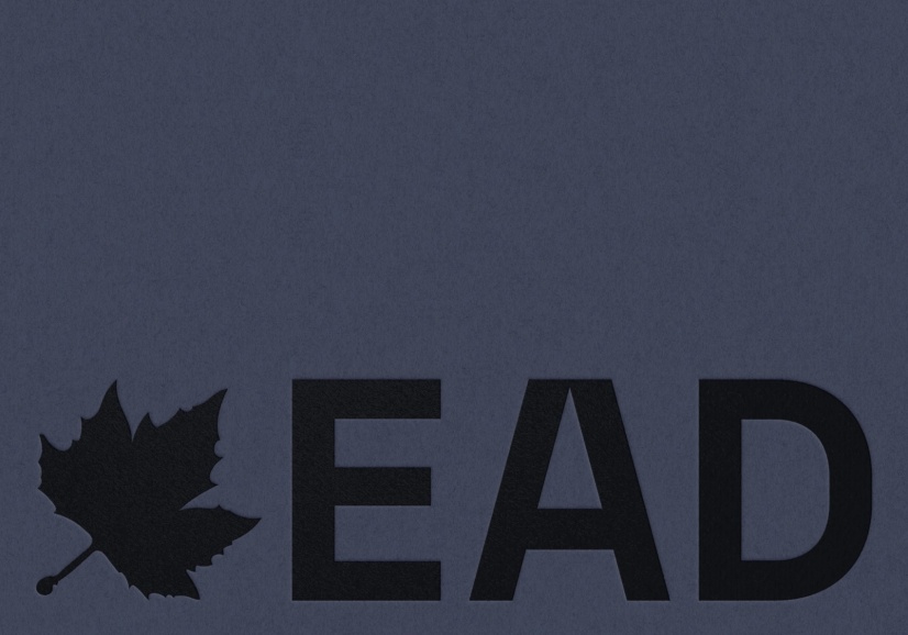 Création identité visuelle et site web pour EAD Architecture.